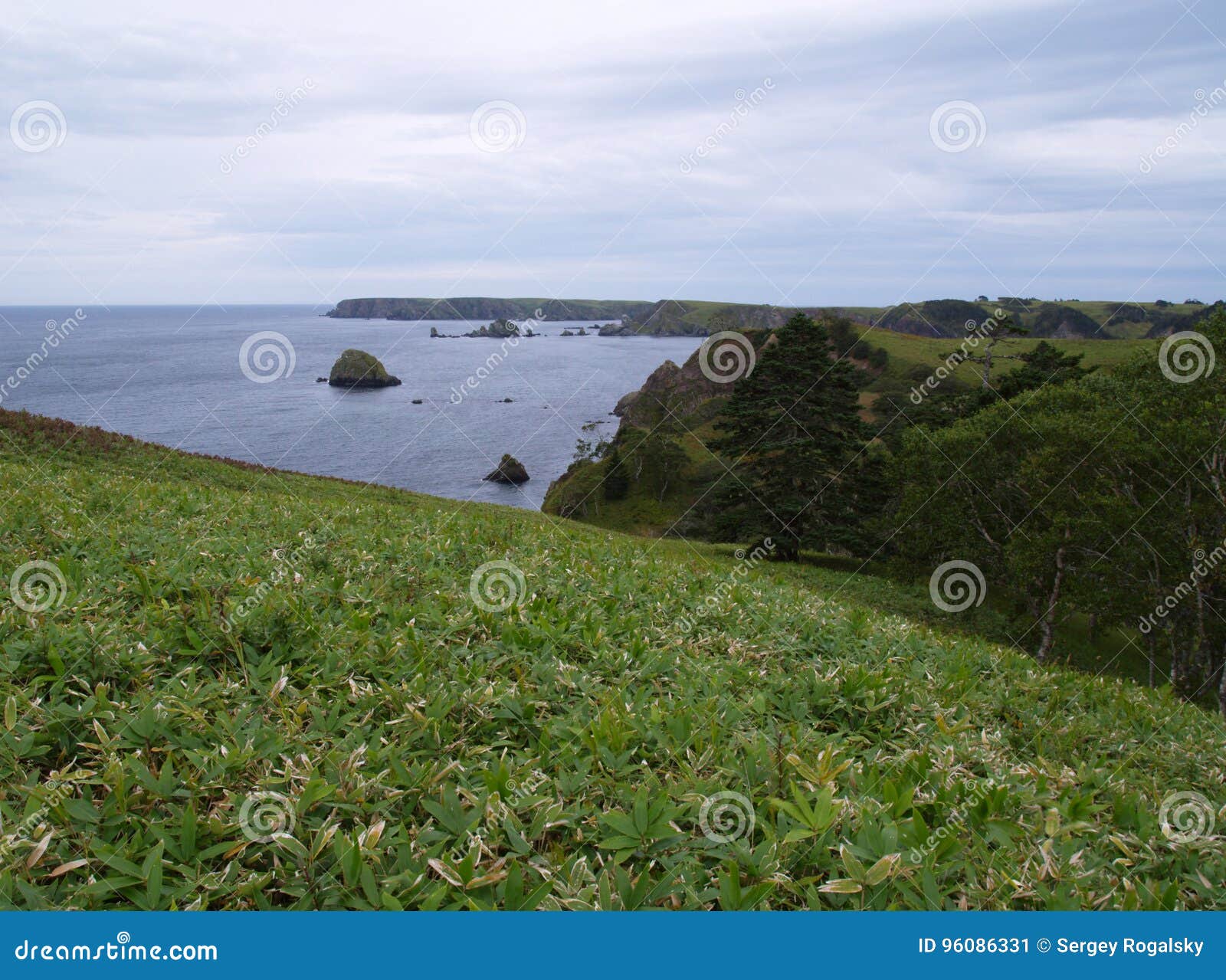 Oceanic landscape stock image. Image of oceanic, pacific - 96086331
