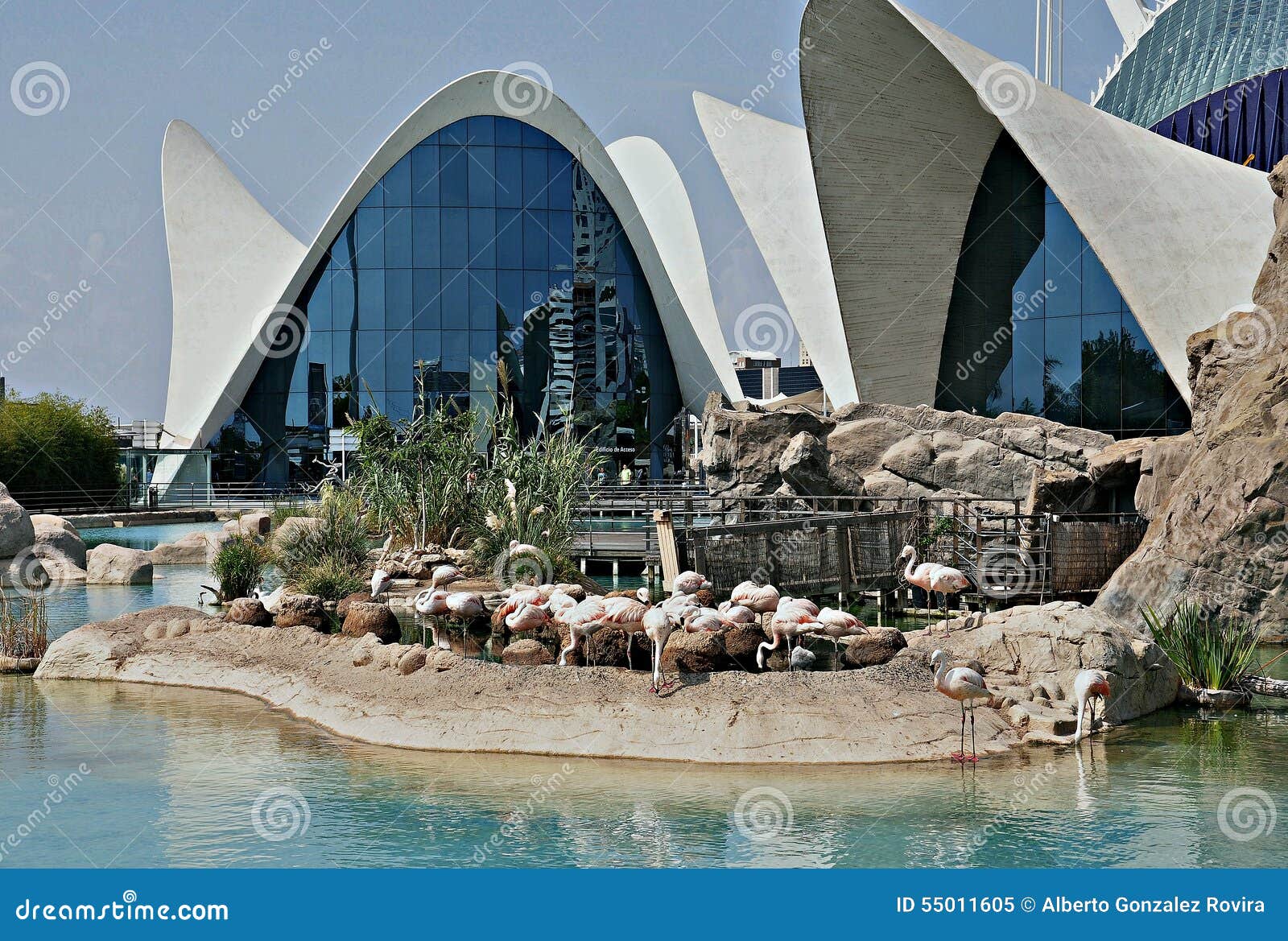 Oceanografic in valencia editorial image. Image of visit - 55011605