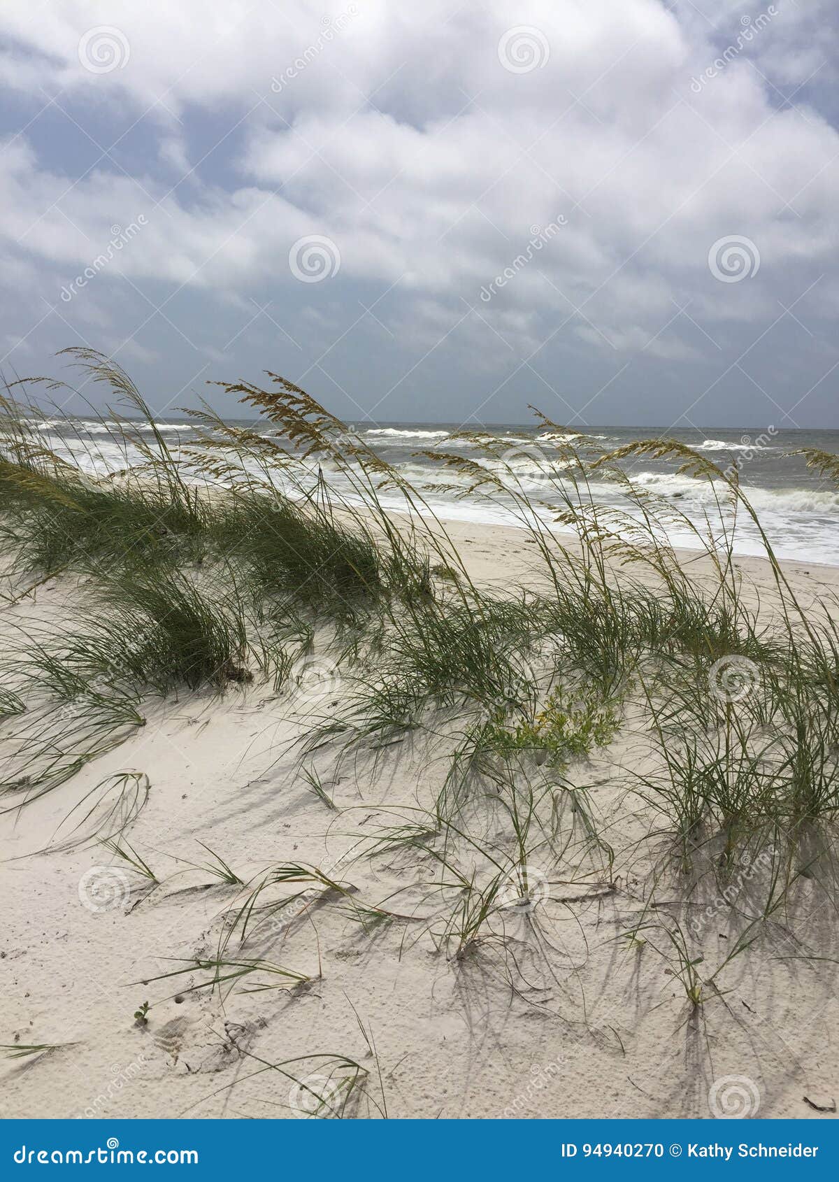 Oceans of Grass stock photo. Image of ocean, oceans, grass - 94940270