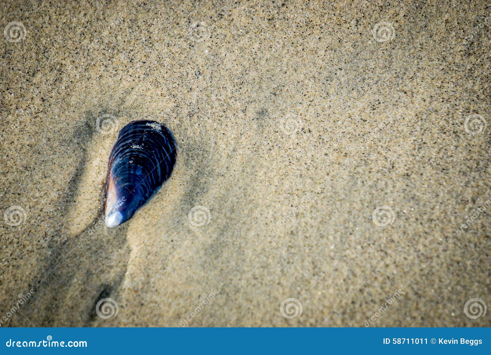 Oceanside, California stock image. Image of scenic, coastline - 58711011