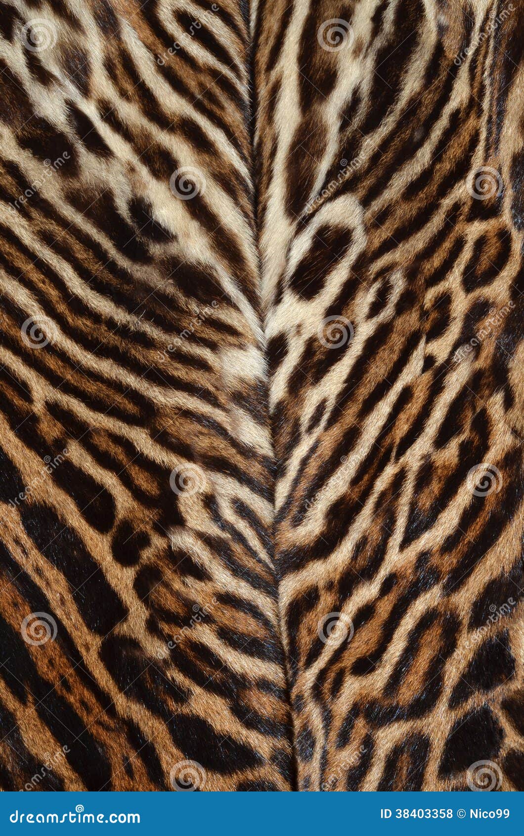 Ocelot fur background stock photo. Image of macro, beautiful - 38403358