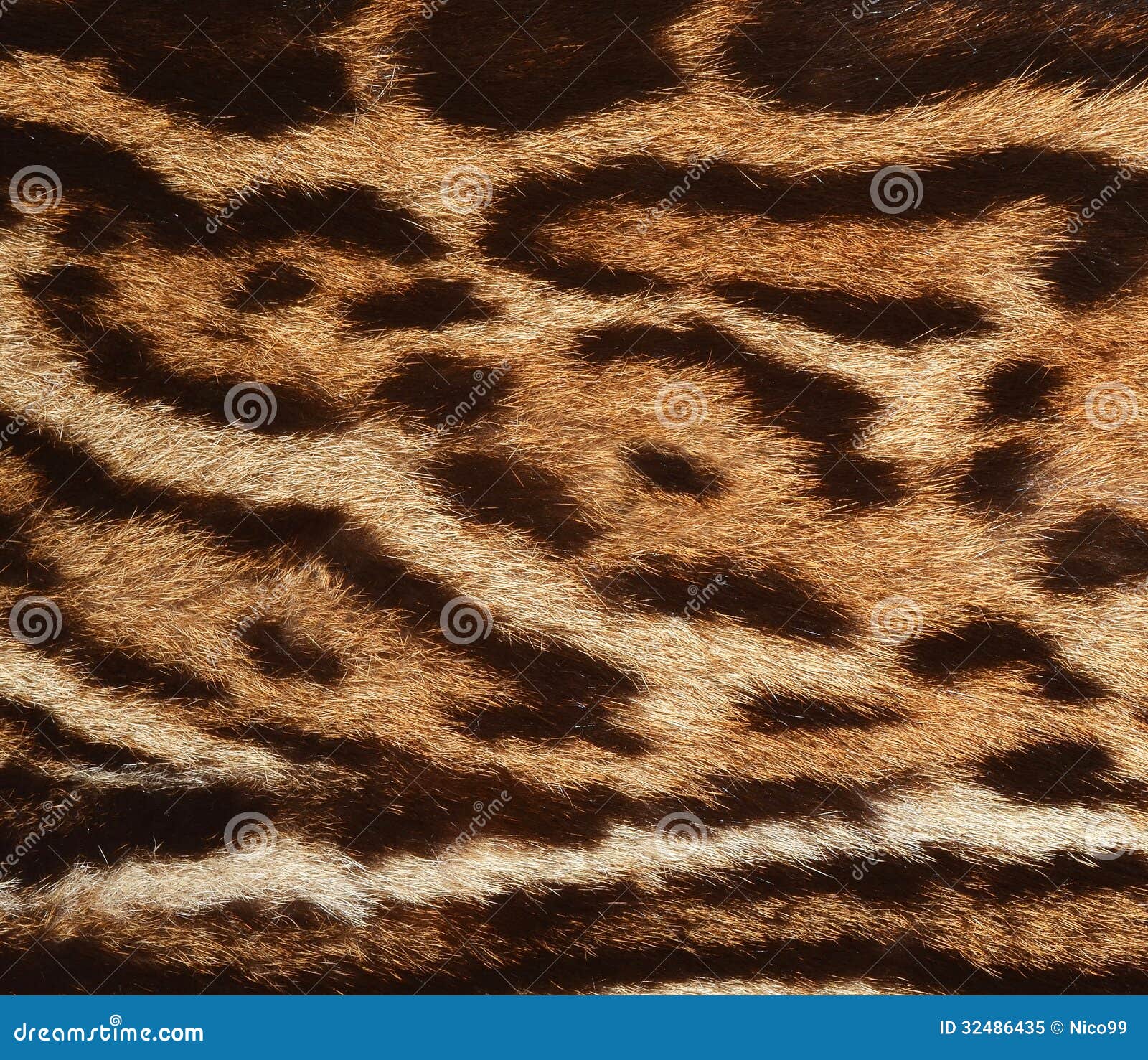 Ocelot fur closeup stock image. Image of kenya, copy - 32486435