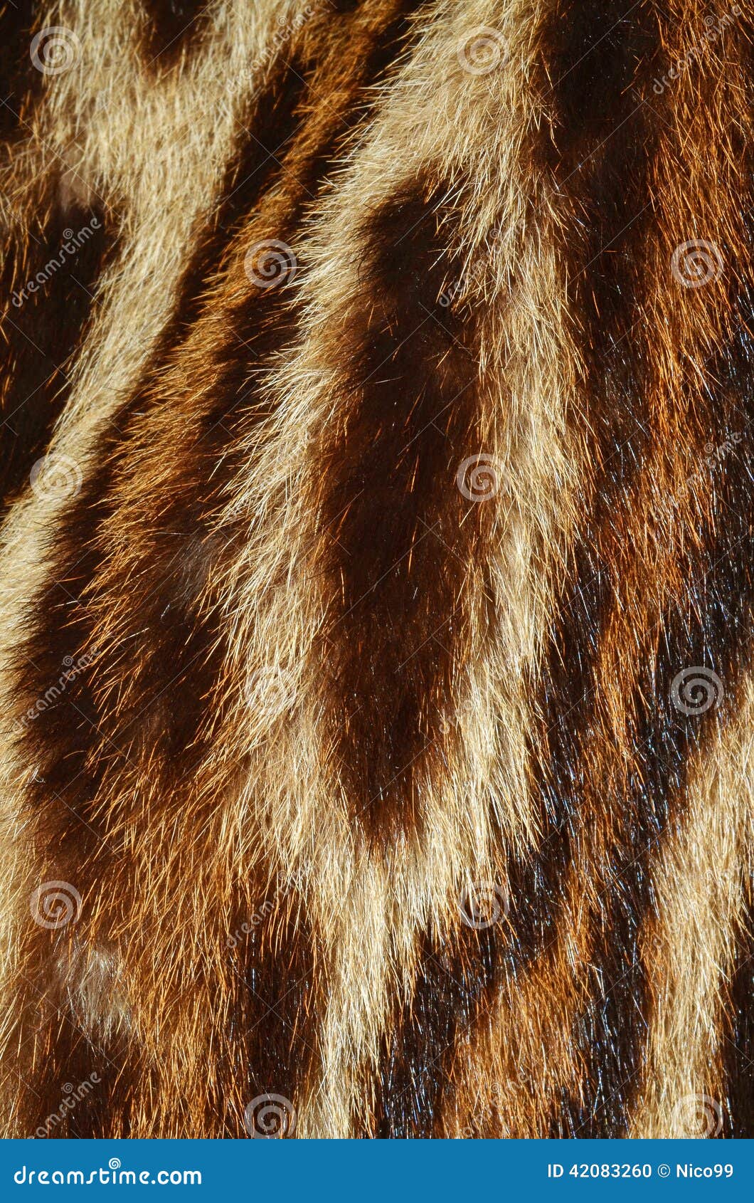 Ocelot fur stock photo. Image of detail, carnivora, pattern - 42083260