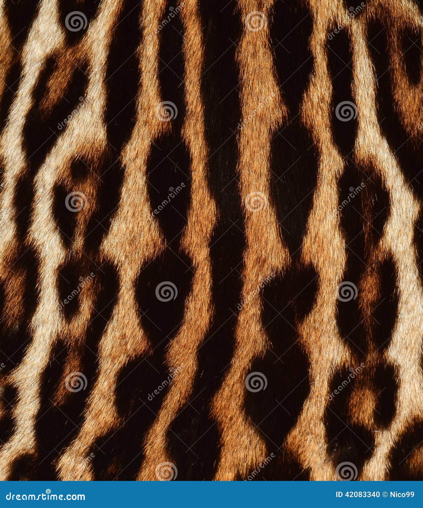 Ocelot fur stock photo. Image of copy, background, closeup - 42083340