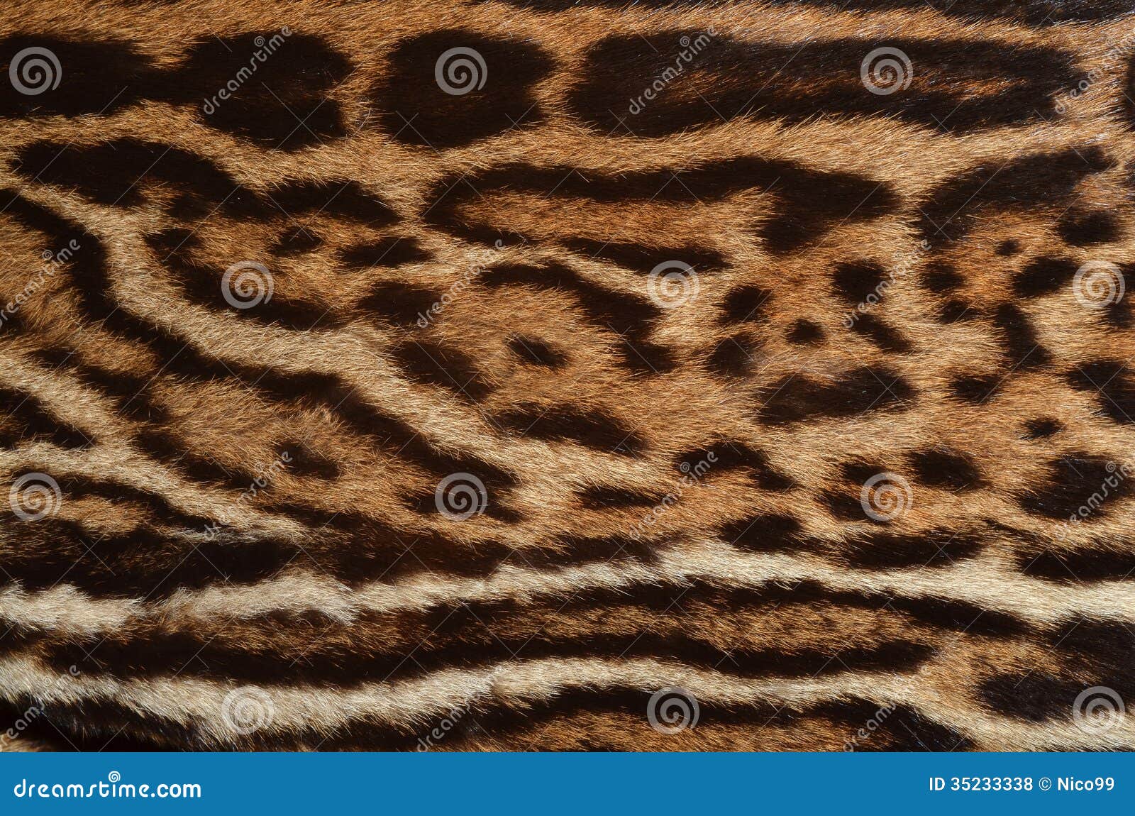 Ocelot Fur Pattern Royalty Free Stock Photos - Image: 35233338