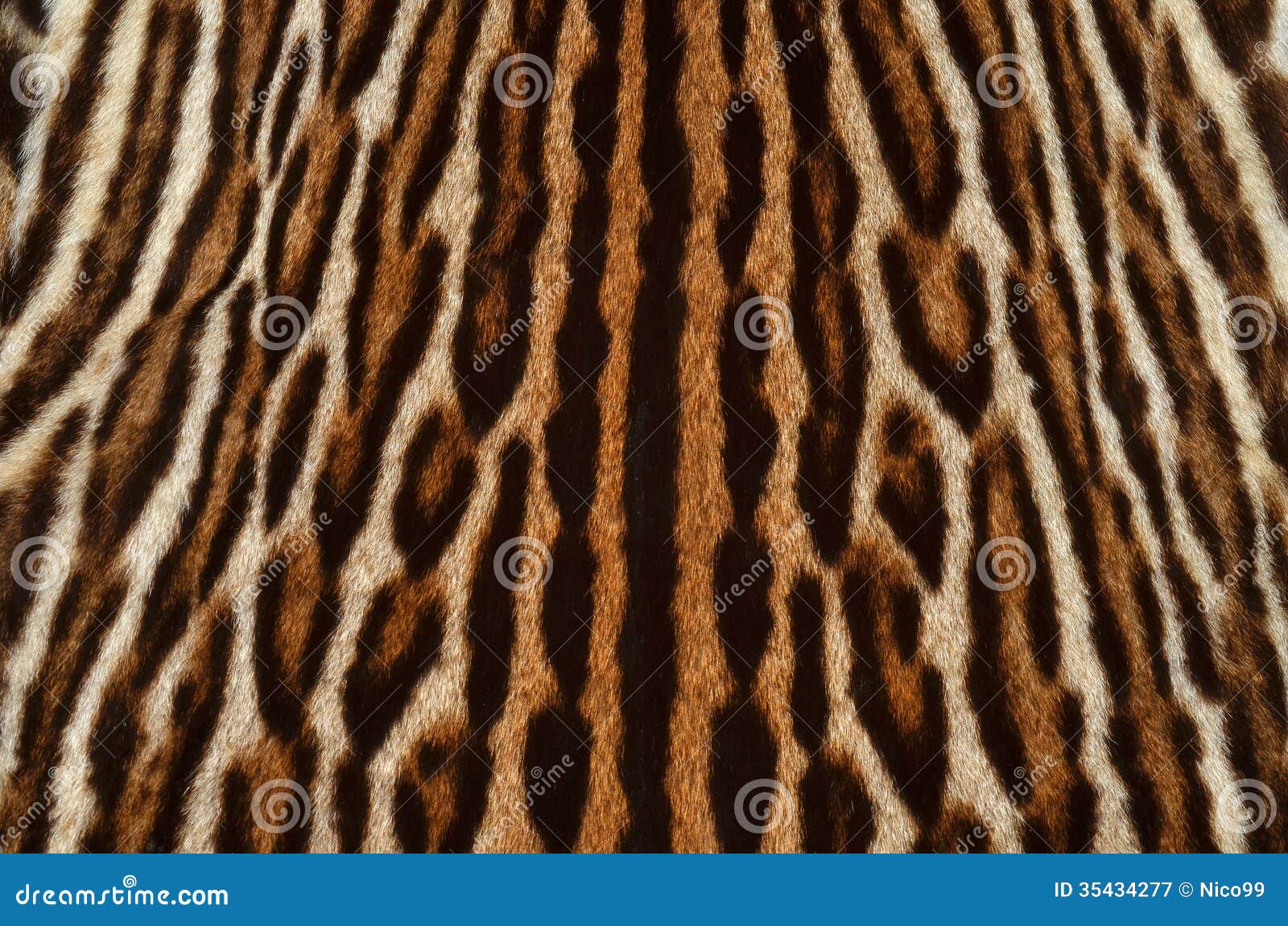 Ocelot Fur Texture Royalty-Free Stock Photography | CartoonDealer.com ...
