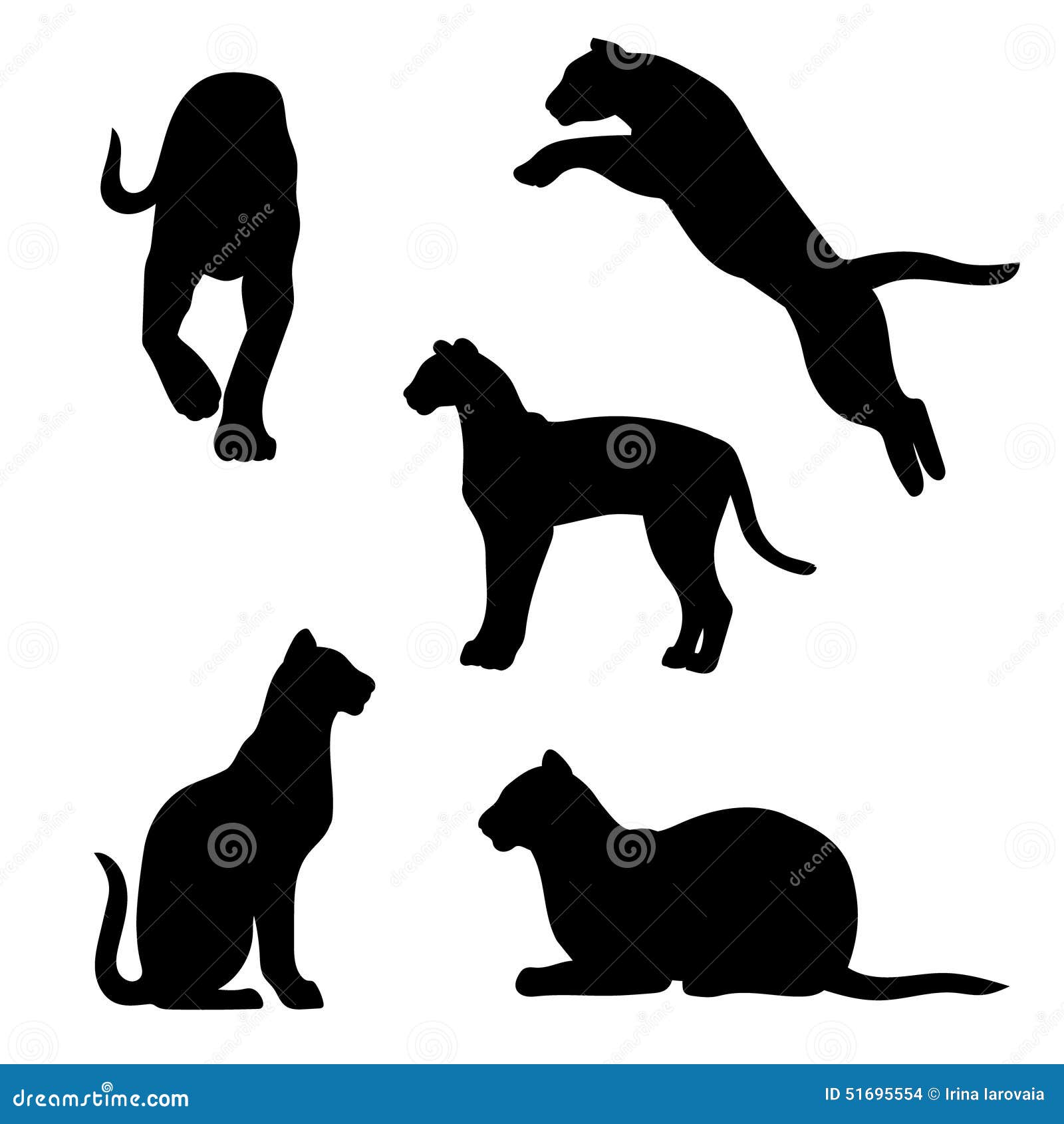 Ocelot set vector stock vector. Illustration of graphic - 51695554