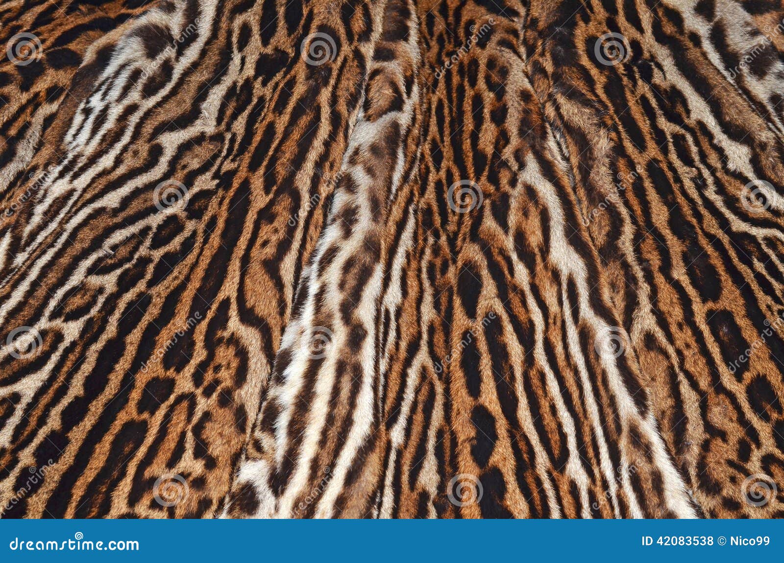 Ocelot Skin Stock Photo - Image: 42083538