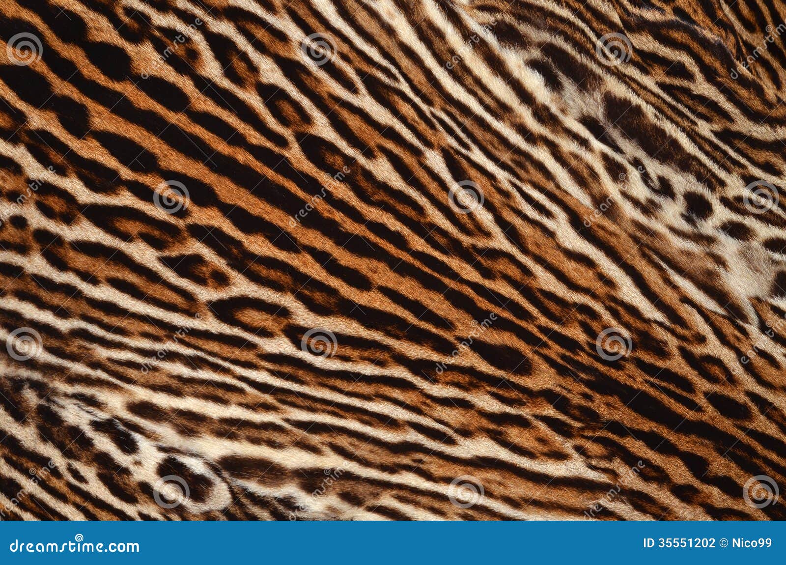 Ocelot skin pattern stock photo. Image of coat, skins - 35551202