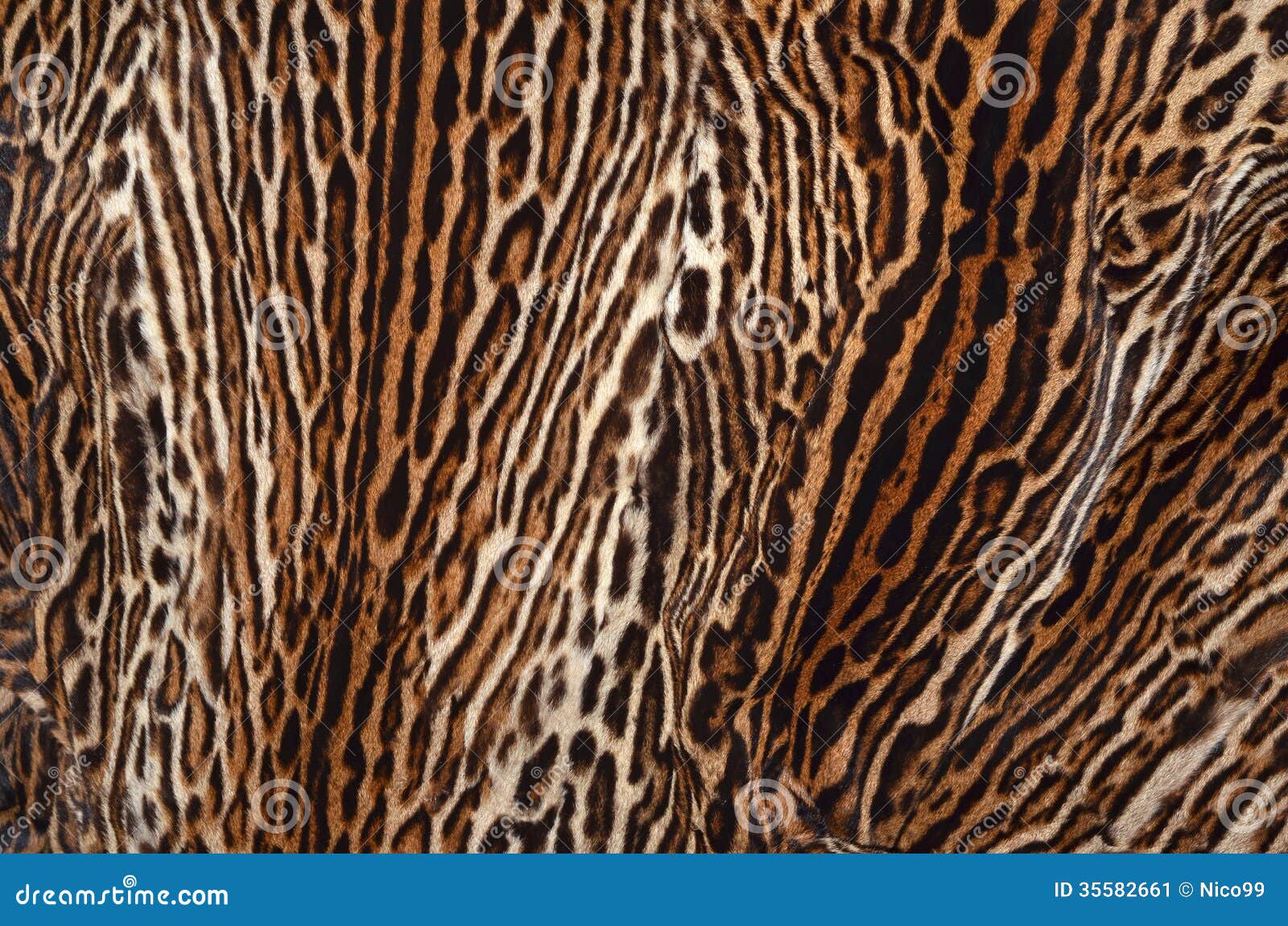 Ocelot Skin Texture Royalty-Free Stock Photo | CartoonDealer.com #35582661