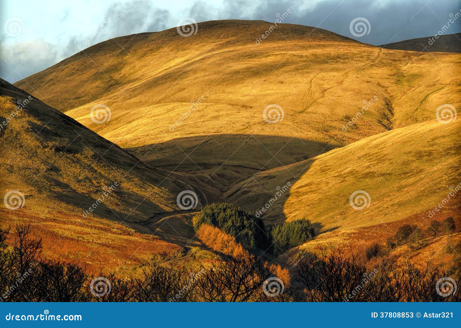 The Ochil Hills in Scotland Stock Image - Image of spring, farm: 37808853