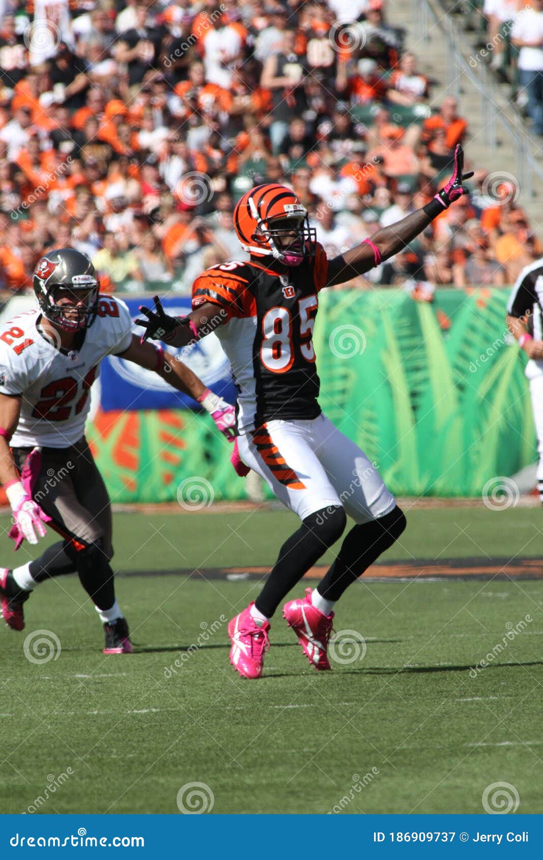 Ochocinco editorial photography. Image of football, helmet - 186909737