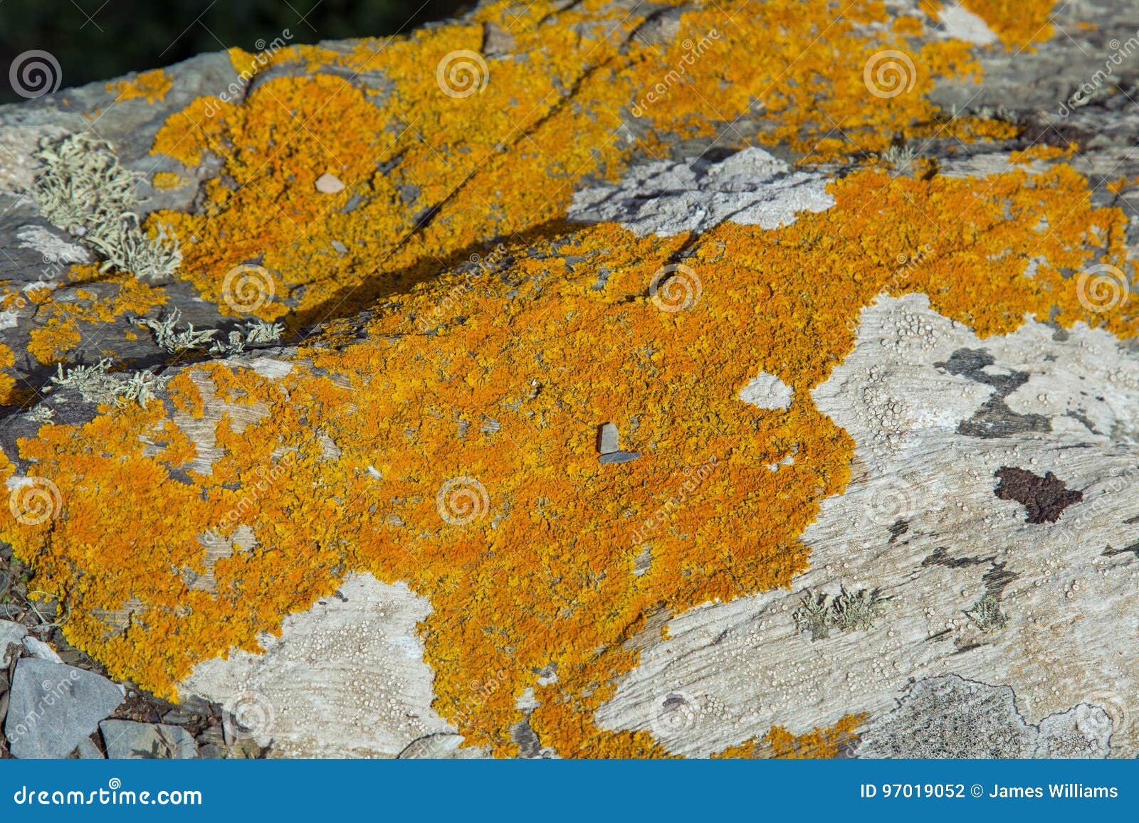 Lichen Red Rocks And Lagoon At Binalong Bay Harbour Tasmania Australia ...