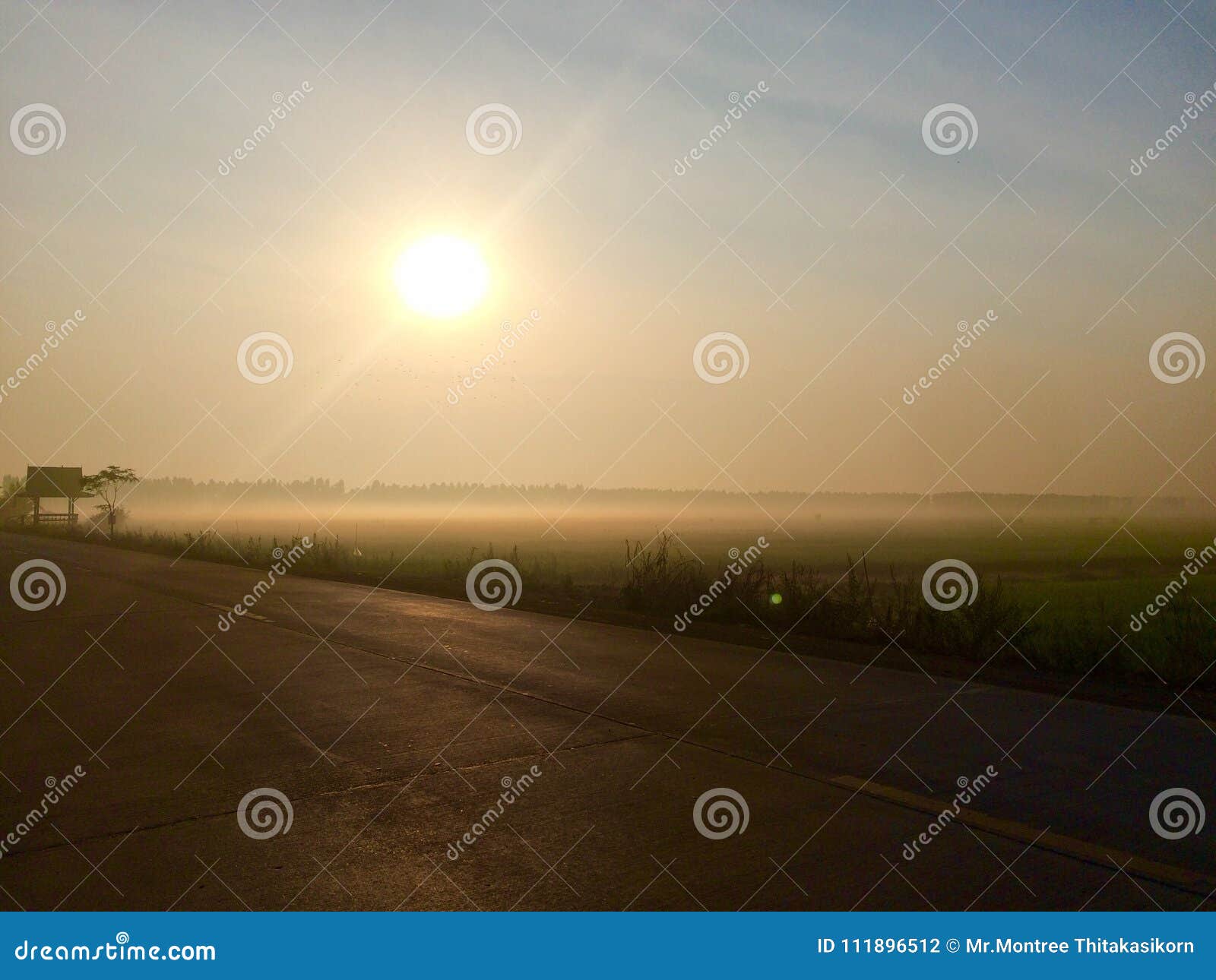 Ochtend stock foto. Image of reeks, land, ochtend - 111896512