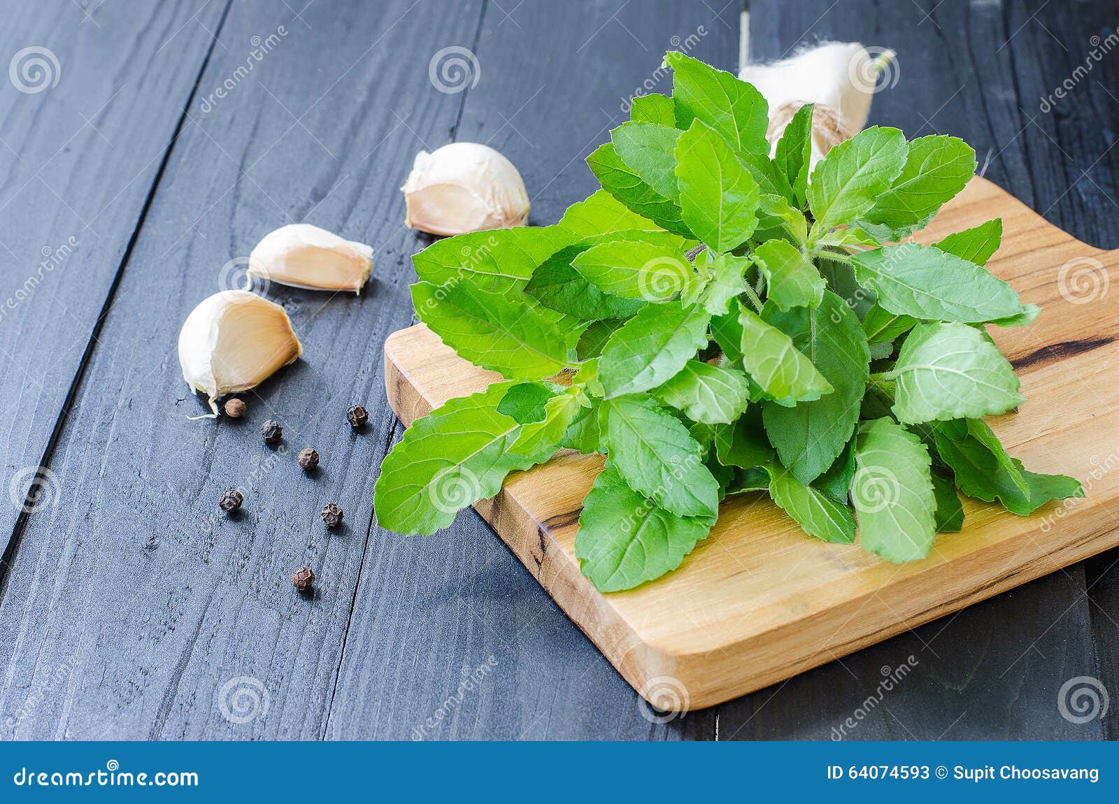 Ocimum sanctum on wooden stock image. Image of basil - 64074593