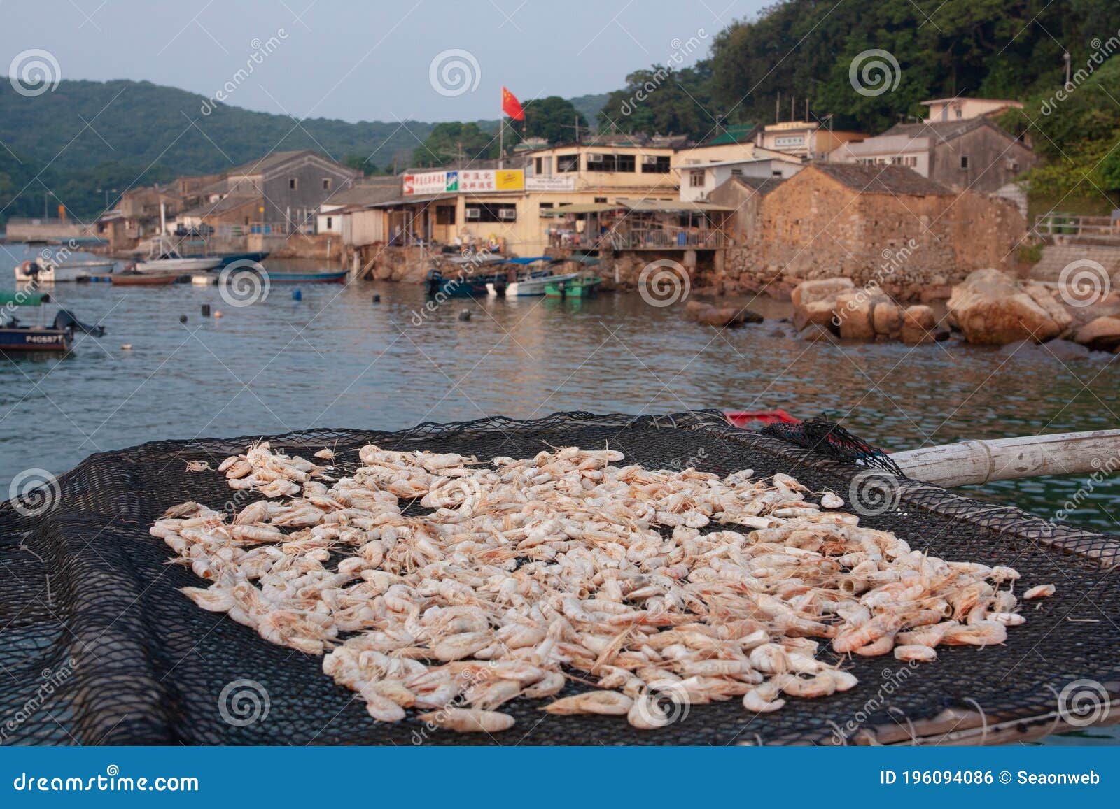 20 Oct 2007 the Food of Dried Shrimp Under the Sun Stock Photo - Image ...
