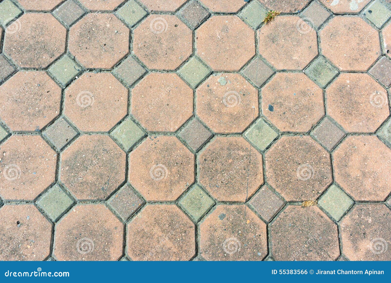 Octagon Brick walkway stock photo. Image of decorative - 55383566