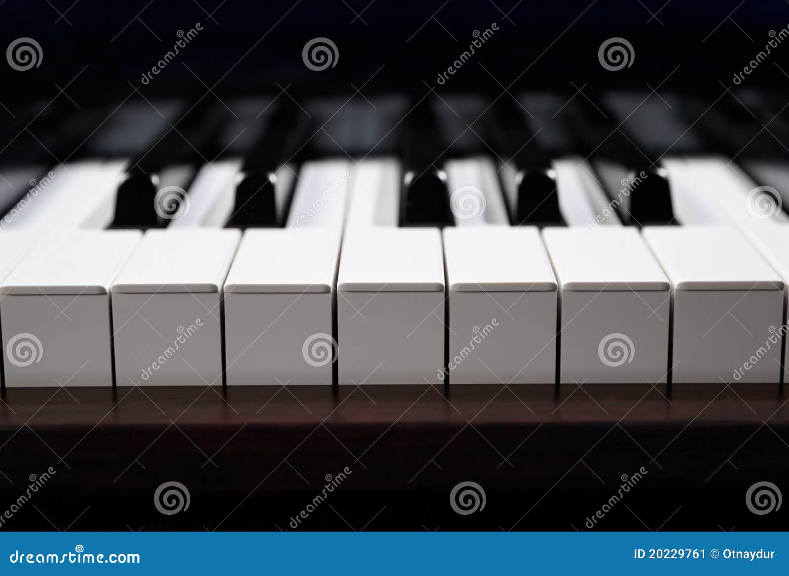 An octave of piano key stock image. Image of white, instrument - 20229761