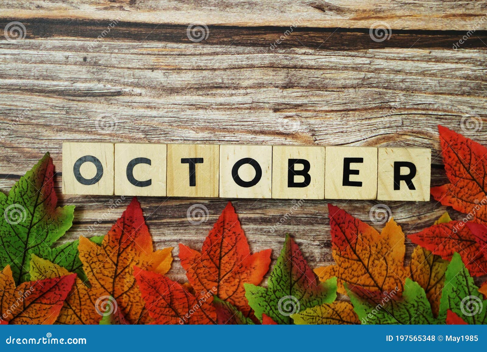 October Alphabet Letter with Maple Leaves Frame on Wooden Background ...
