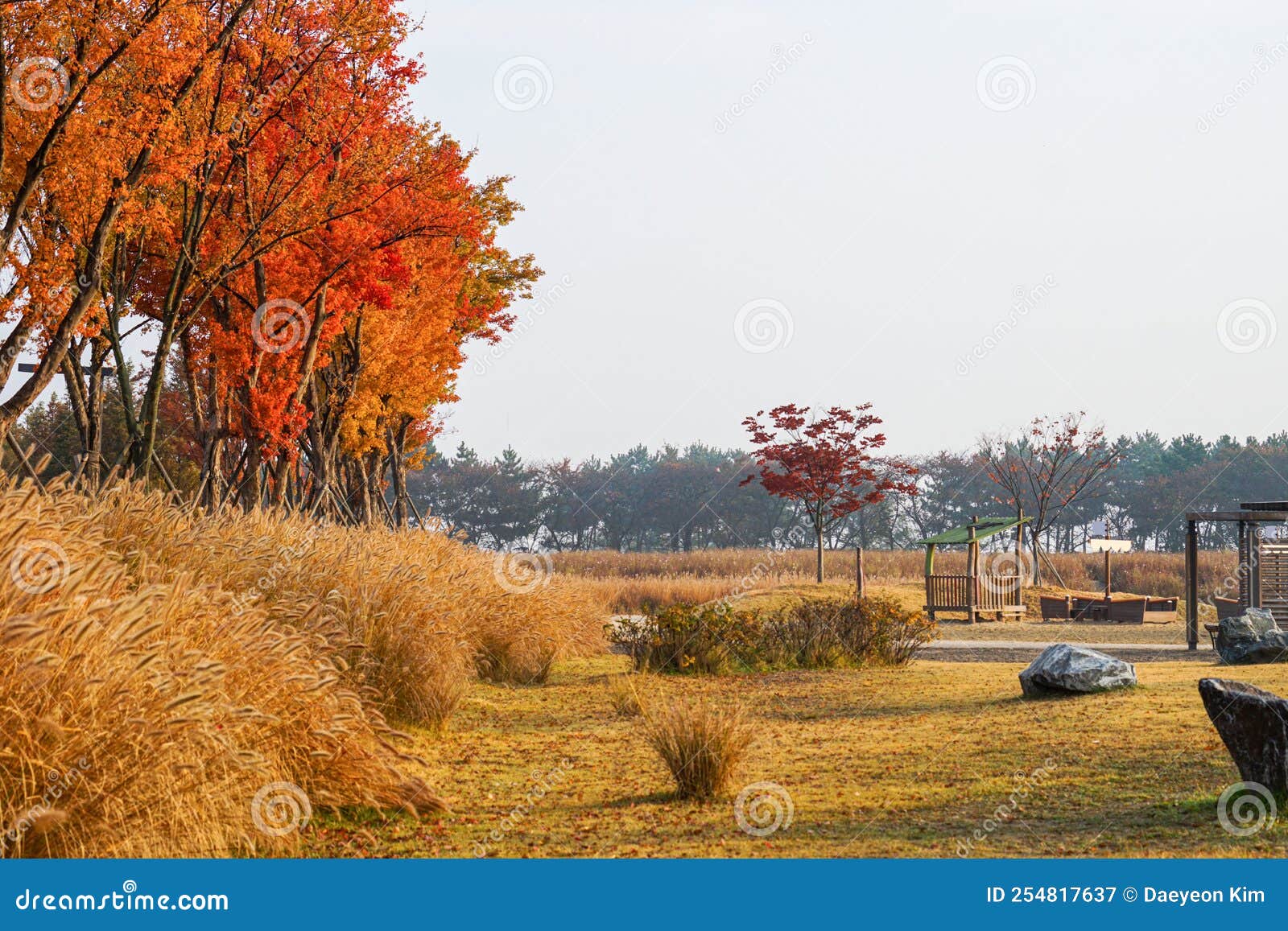 October Autumn Scenery Photos and Trees Stock Image - Image of creative ...