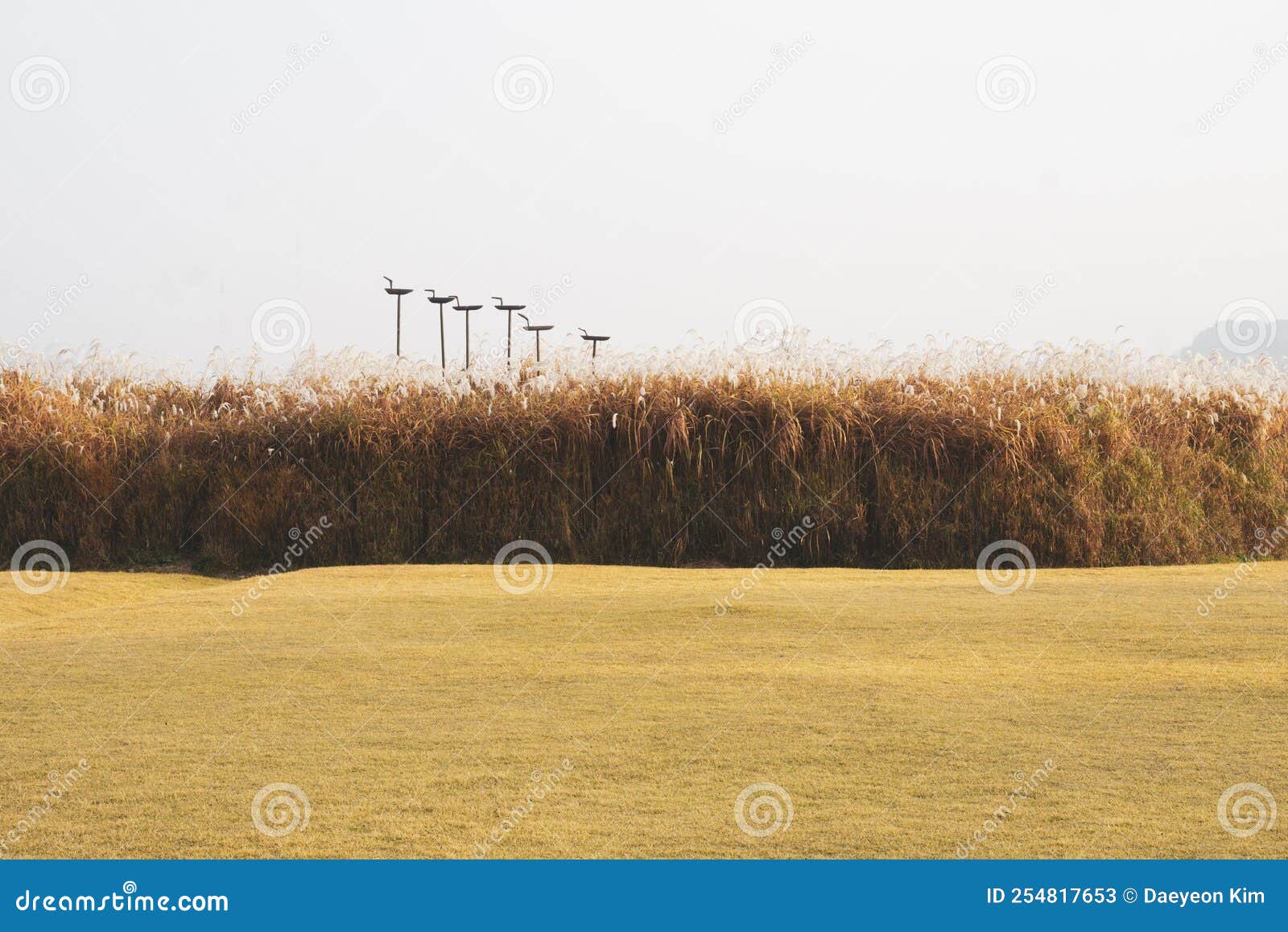 October Autumn Scenery Photos and Trees Stock Image - Image of creative ...