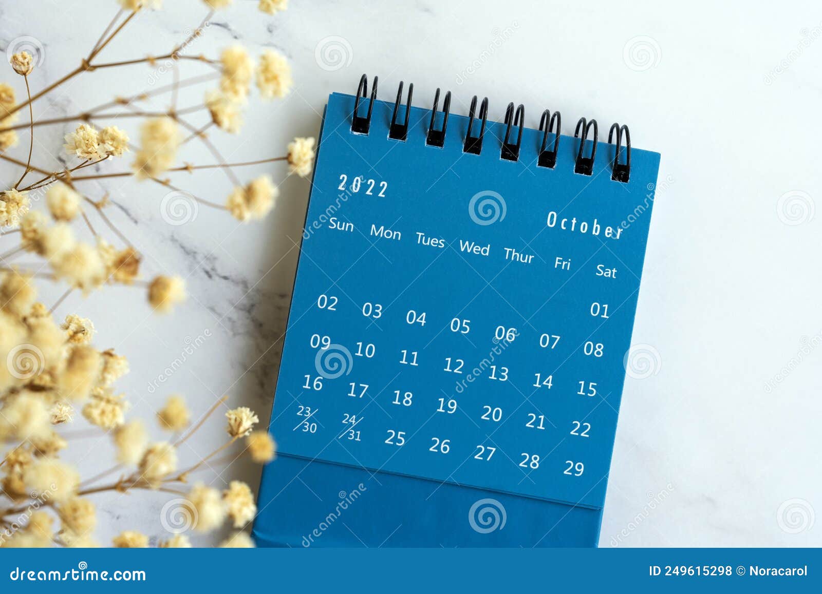 October 2022 Calendar Flat Lay with Flower Stock Photo - Image of front ...