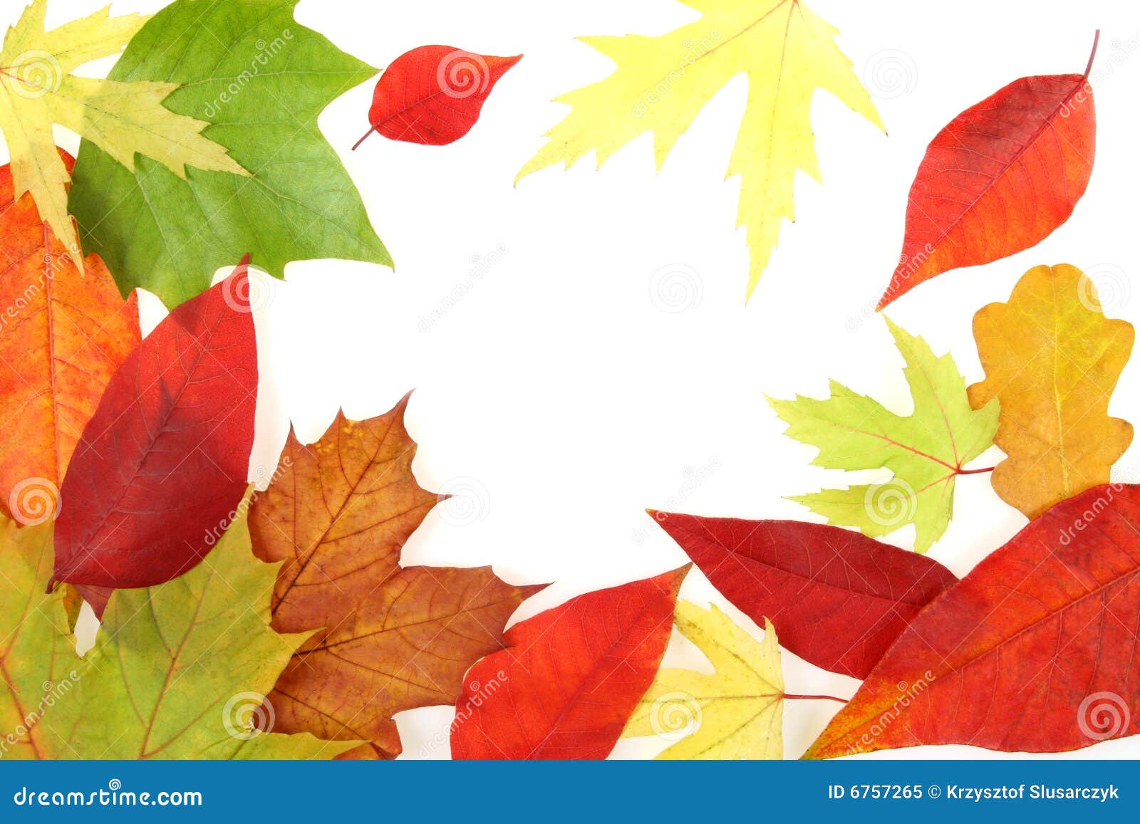 October leaves stock image. Image of color, copyspace - 6757265