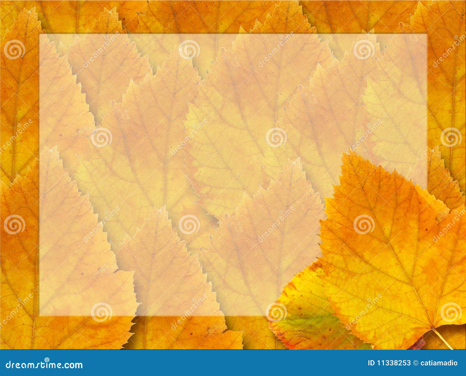 October leaves background stock image. Image of nature - 11338253
