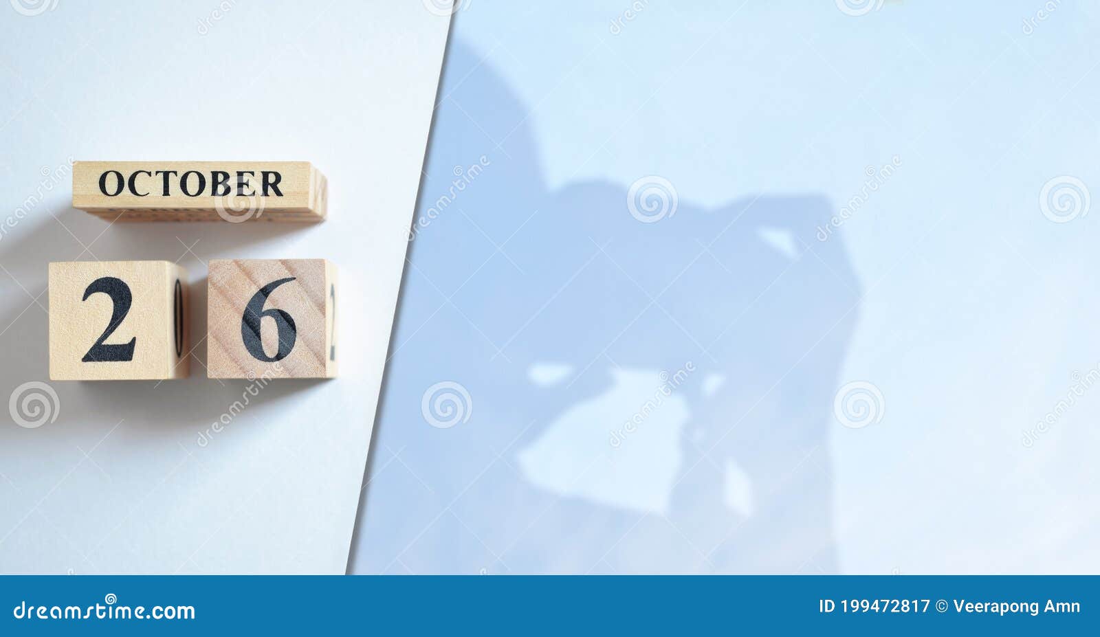 October 26, Shadow of Photographer. Stock Image - Image of monday, 2021 ...