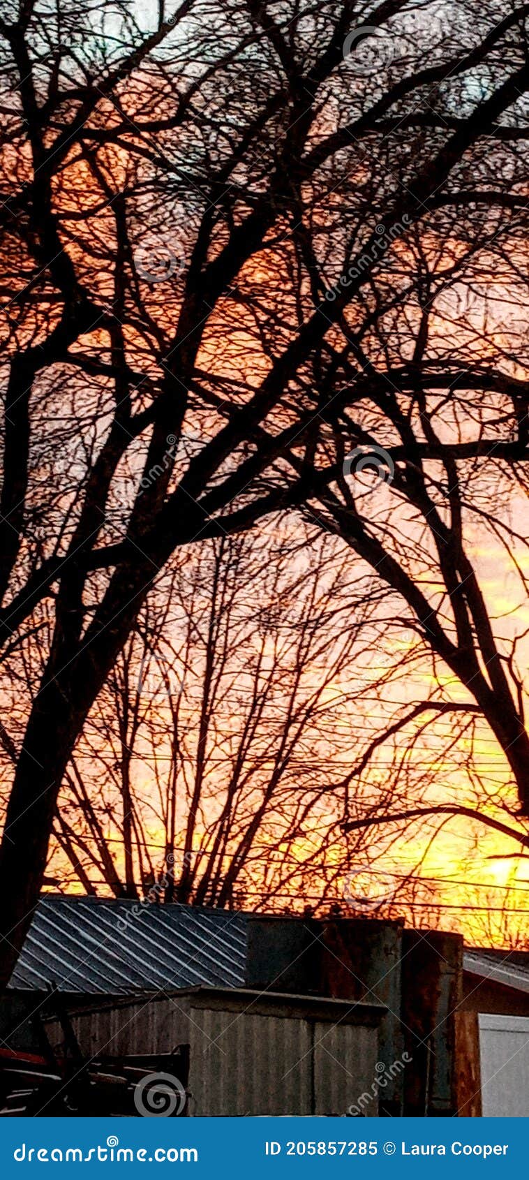 October sky shadow stock image. Image of october, sunset - 205857285