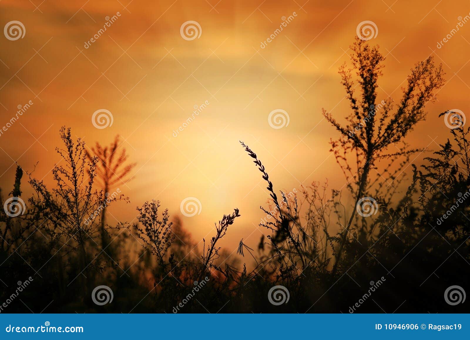October Sunset stock photo. Image of beauty, colorful - 10946906