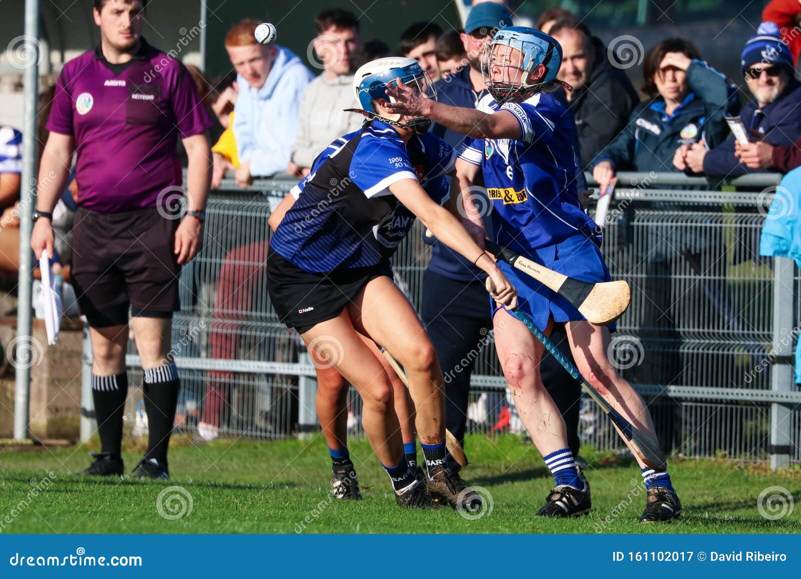 Cork Camogie Senior Championship Final: Inniscarra 0-15 Vs Sarsfields 3 ...