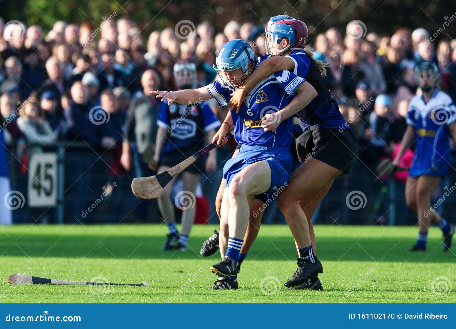 Cork Camogie Senior Championship Final: Inniscarra 0-15 Vs Sarsfields 3 ...