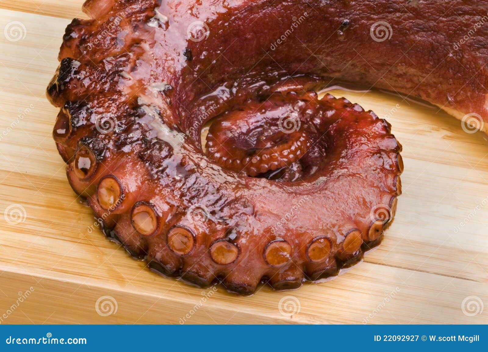 Octopus stock image. Image of slimy, cooked, delicacy - 22092927