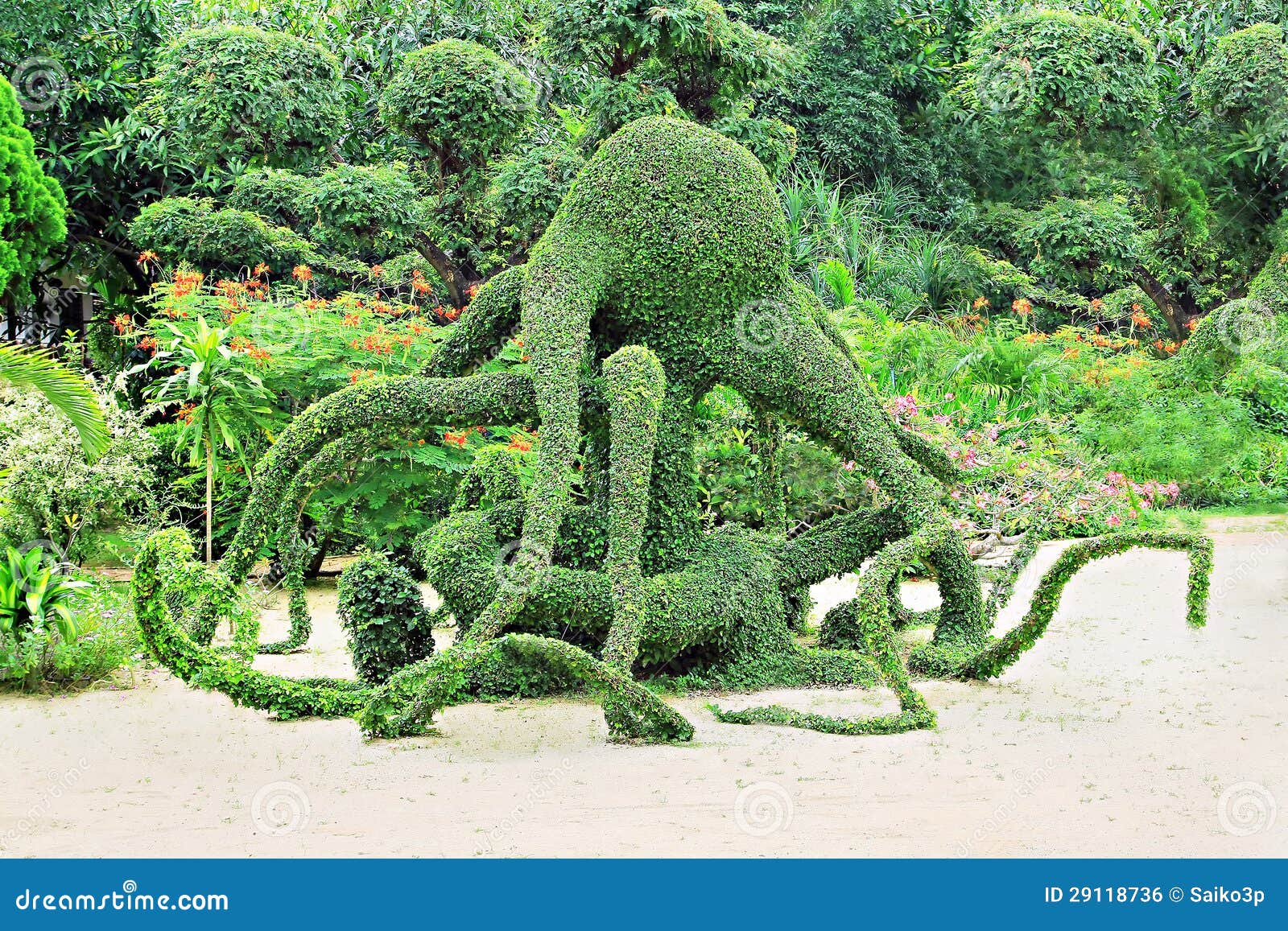 Octopus stock photo. Image of grass, gardening, lush - 29118736