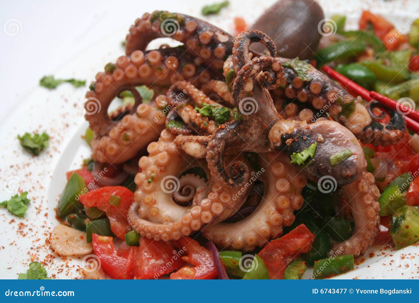 Octopus stock image. Image of seafood, salad, meal, dinner - 6743477