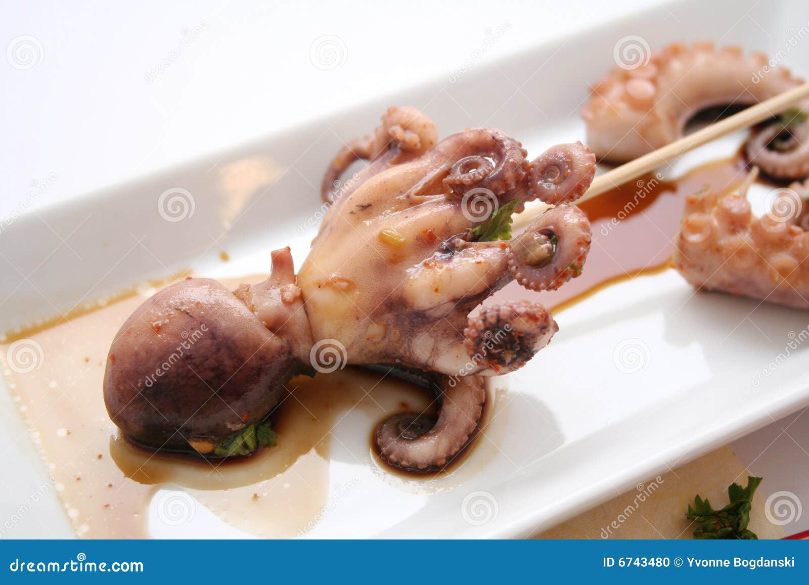 Octopus stock photo. Image of seafood, snack, dinner, preparing - 6743480