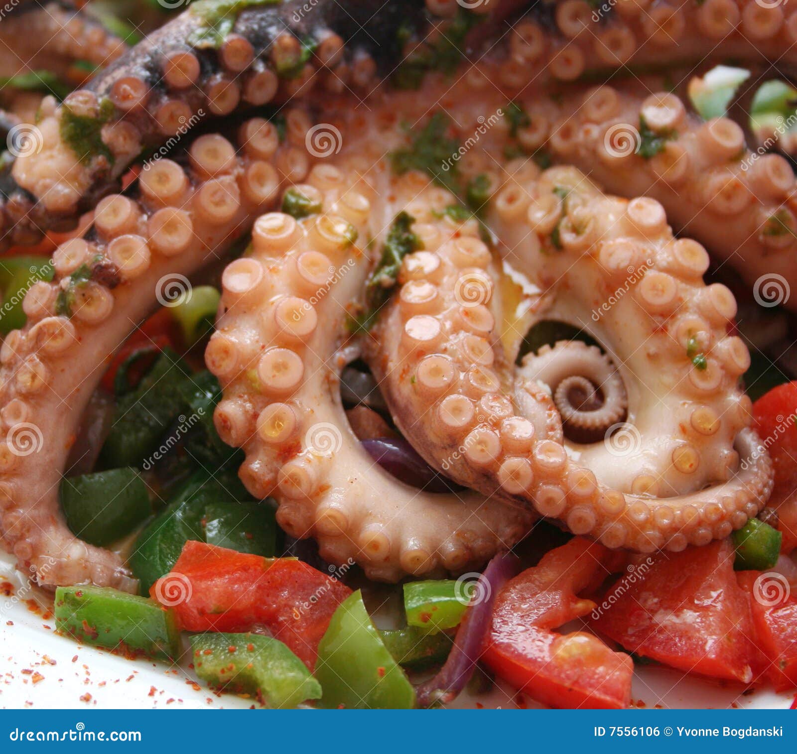 Octopus stock photo. Image of fish, seafood, dinner, meal - 7556106