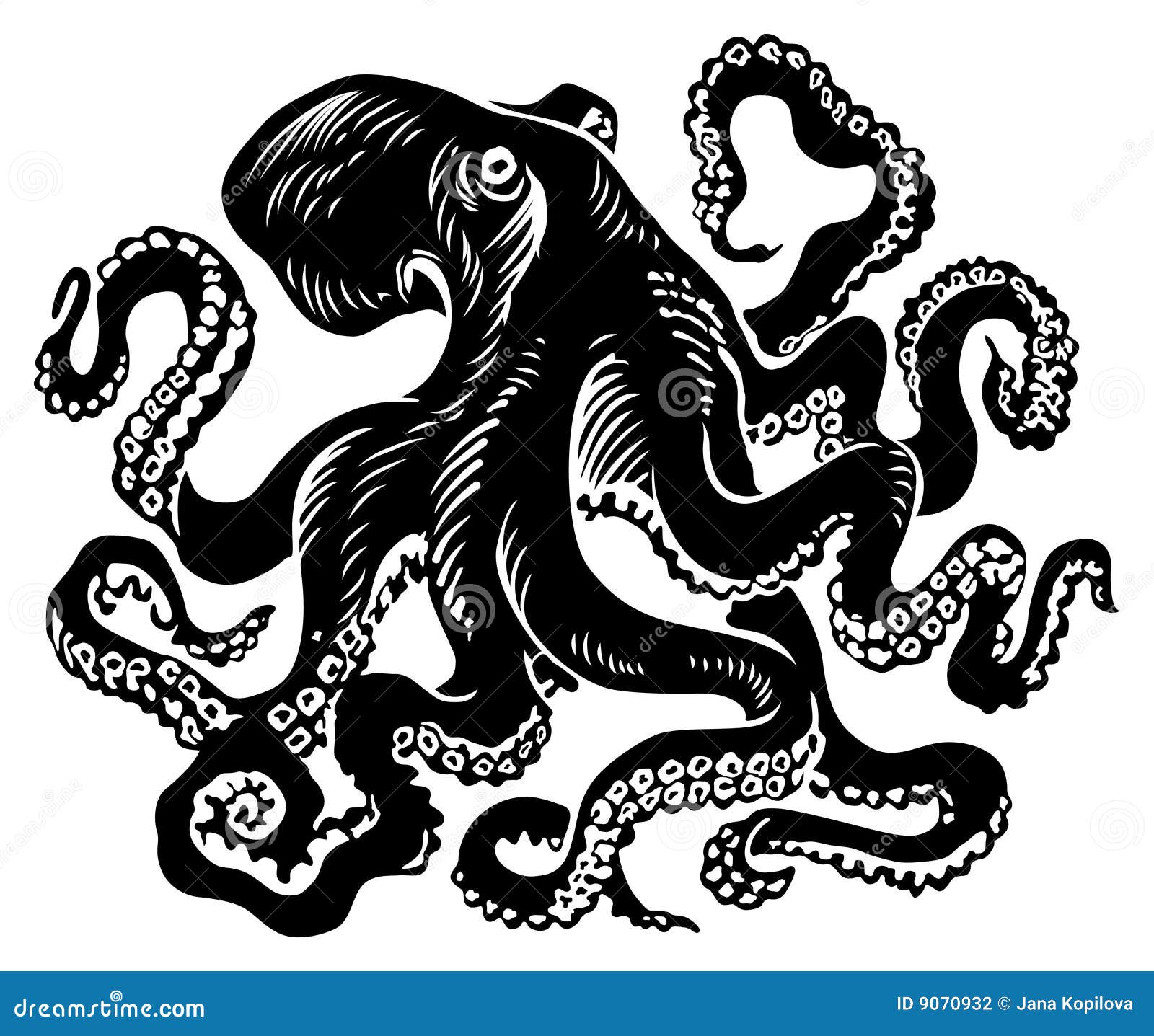 Octopus stock vector. Illustration of fish, contour, science - 9070932