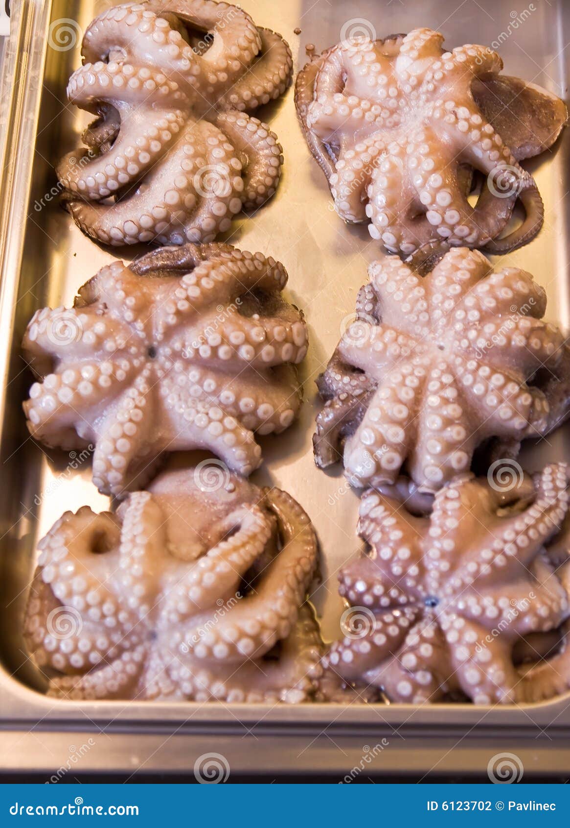 343 Sicily Octopus Stock Photos - Free & Royalty-Free Stock Photos from ...