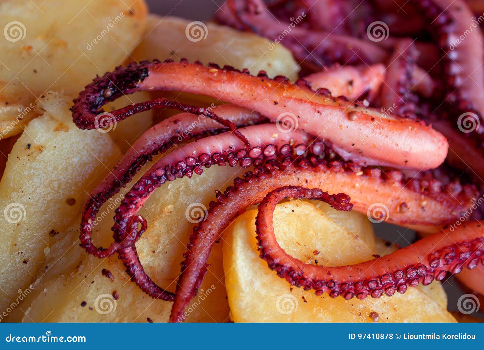 Octopus Baked with Potatoes. Stock Photo - Image of potatoes, menu ...
