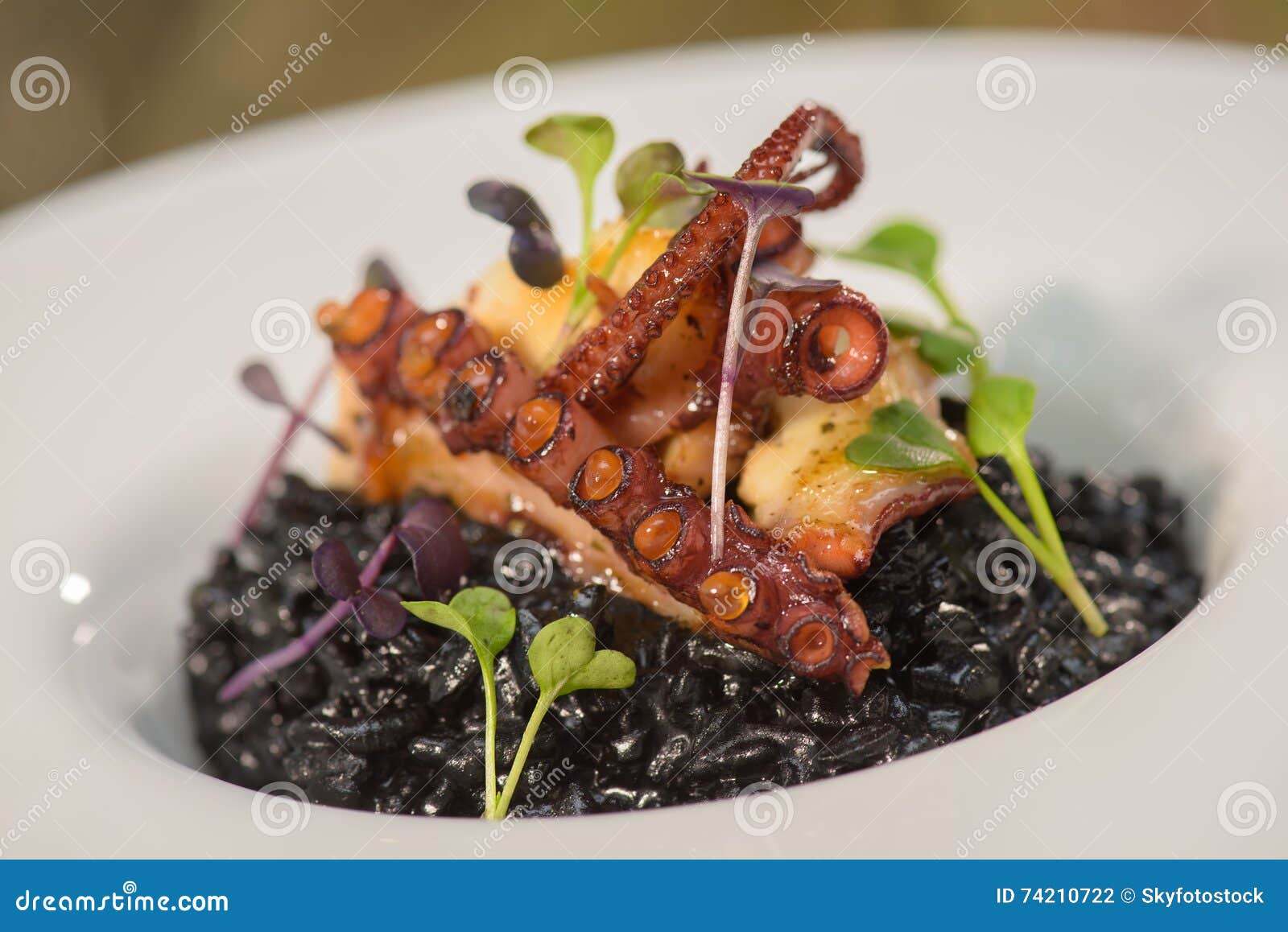 Octopus with Black Rice and Herbs Stock Photo - Image of dinner, white ...