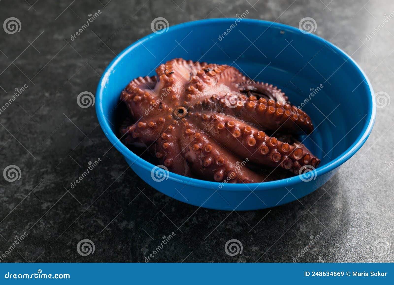 Octopus is boiled in a pot stock image. Image of mediterranean - 248634869