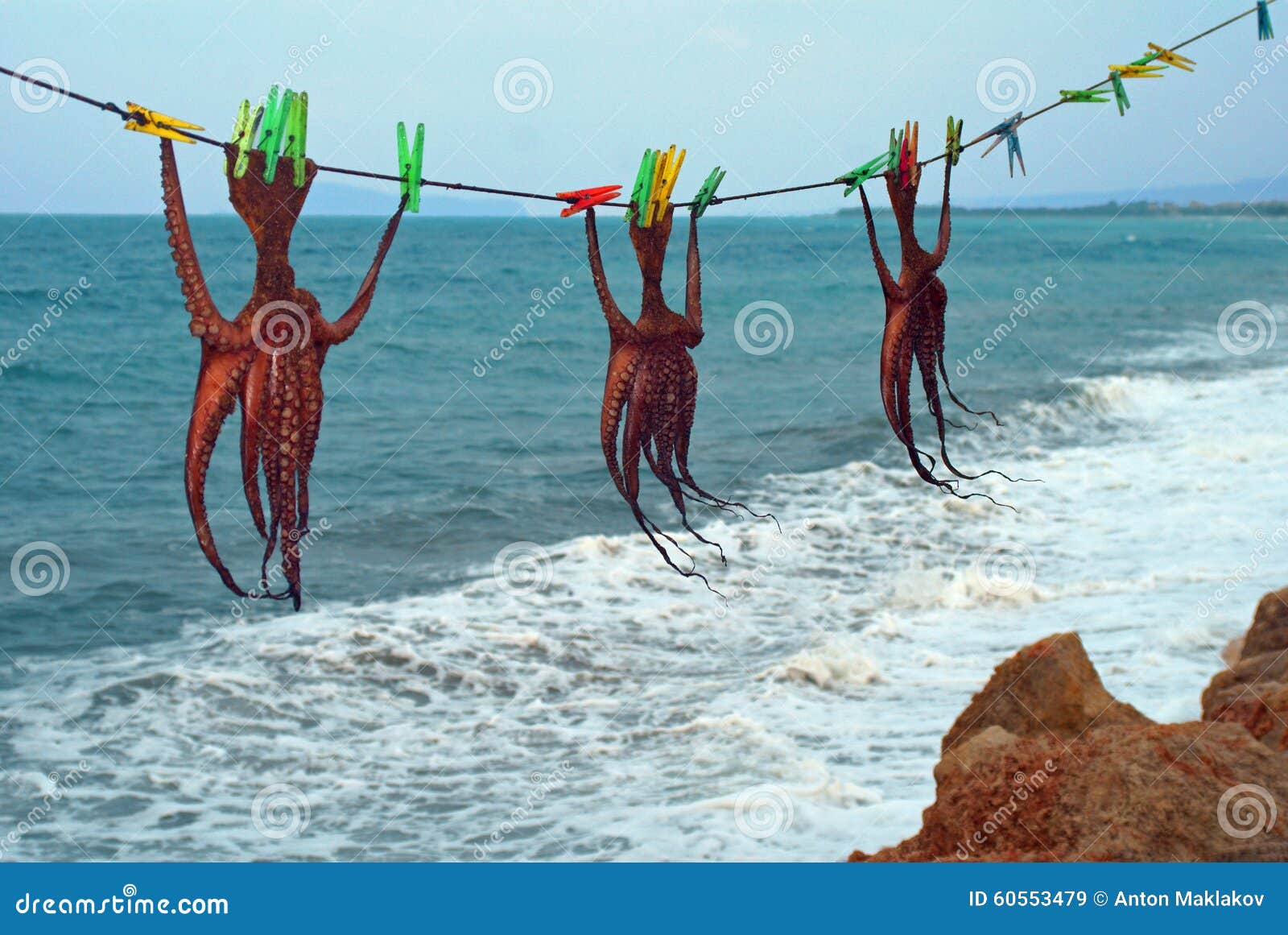 Octopus stock image. Image of menu, culture, cafe, preparation - 60553479