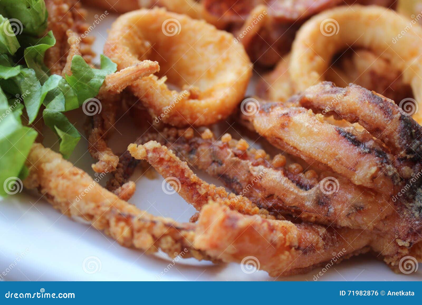 Octopus and calamaris stock photo. Image of delicious - 71982876