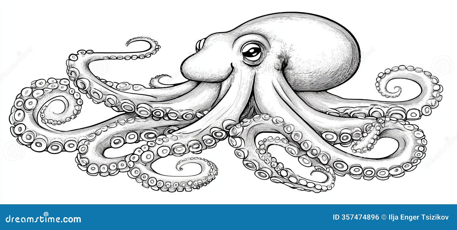 Octopus with a Cartoonishly Large Head Outlined on Transparent ...