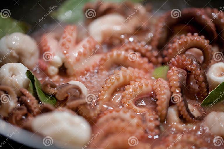 Octopus dish stock photo. Image of octopus, bunch, seafood - 51554280
