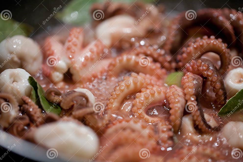 Octopus dish stock photo. Image of octopus, bunch, seafood - 51554280