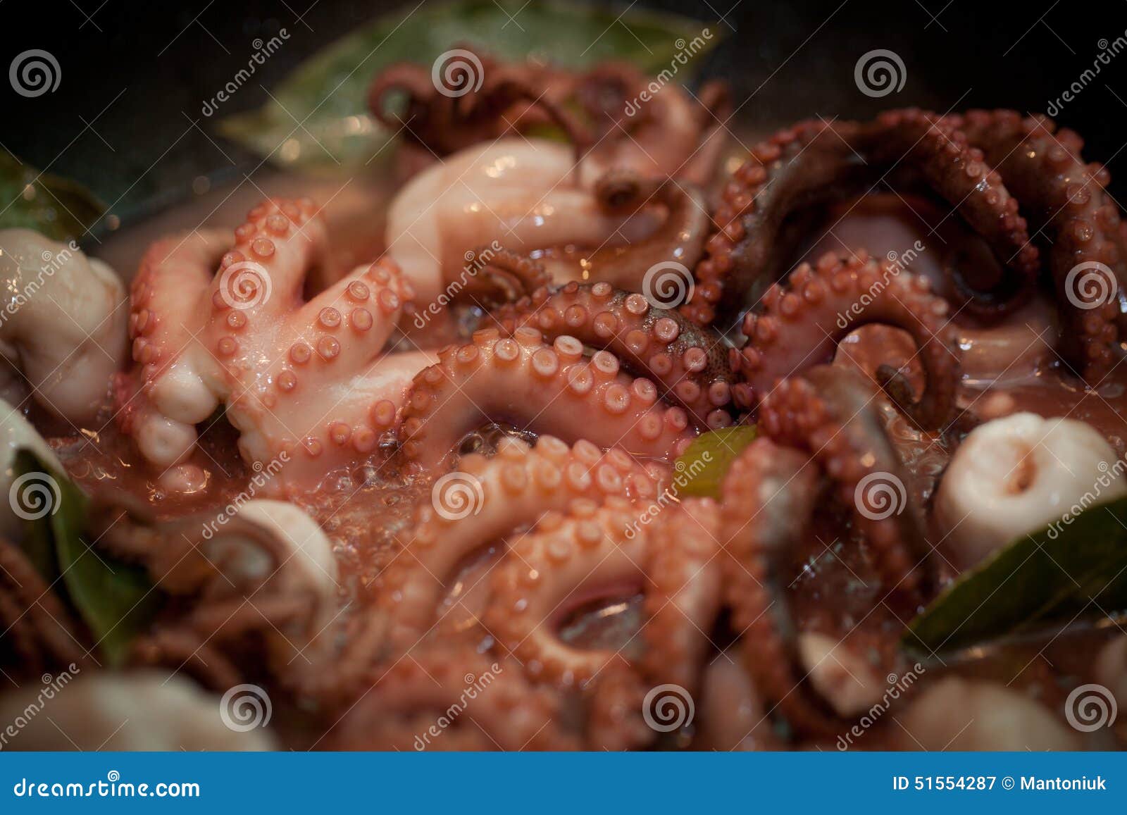 Octopus dish stock image. Image of bunch, dish, baby - 51554287