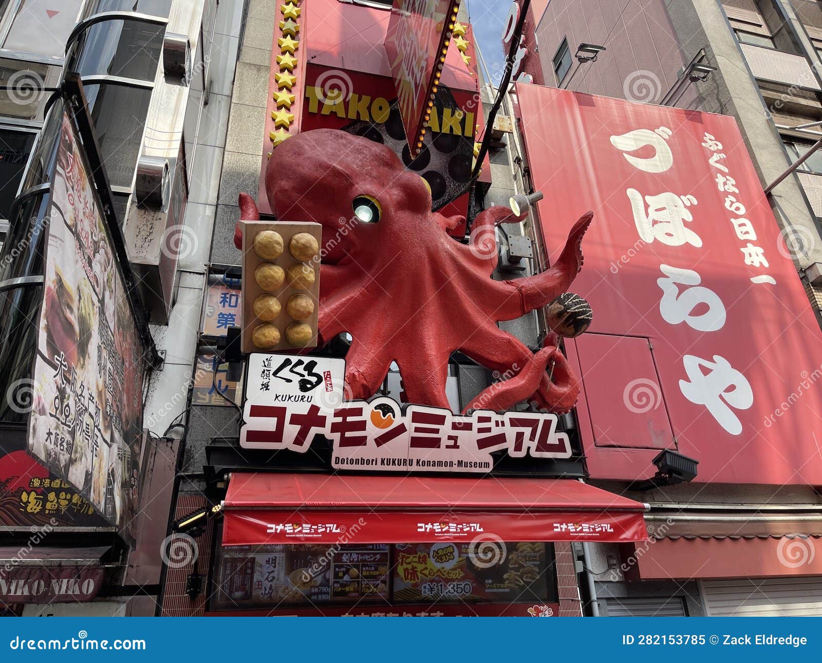 Octopus display editorial image. Image of octopus, japan - 282153785